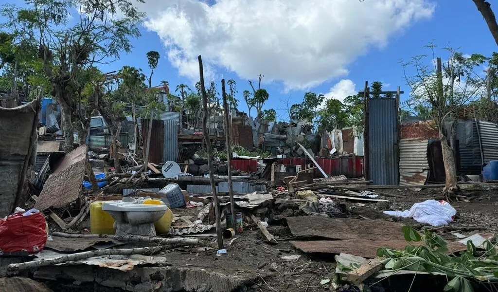 À Mayotte, « la plus grande opération de destruction d’habitats ...