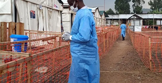 Ce que l’on sait de la maladie inconnue qui touche la République ...