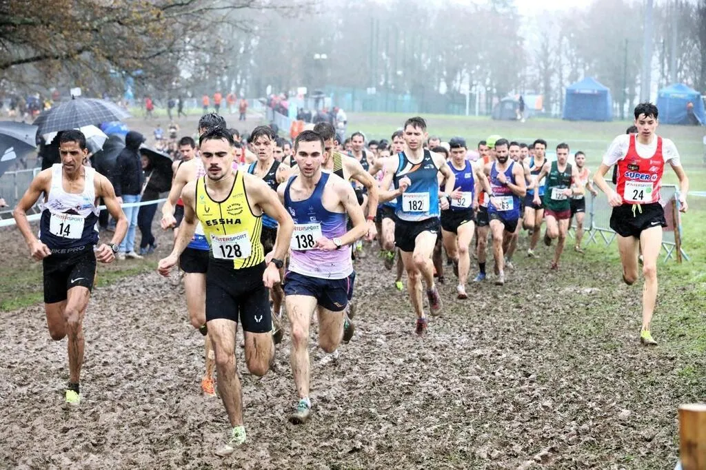 Loire Atlantique - Cross-country. Une 33e édition du cross national de ...