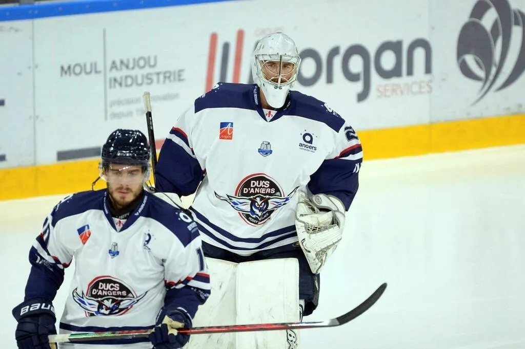 Ligue Magnus. Contre les Spartiates de Marseille, les Ducs en quête de ...