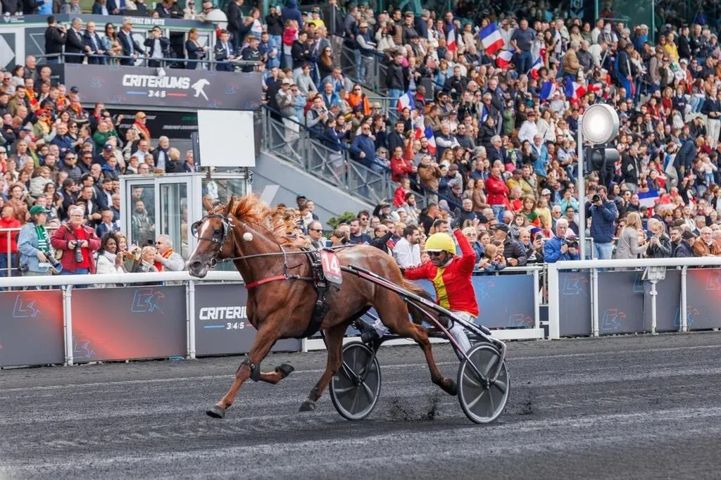 Quatre nouveaux chevaux qualifiés pour le prix d’Amérique . Sport ...
