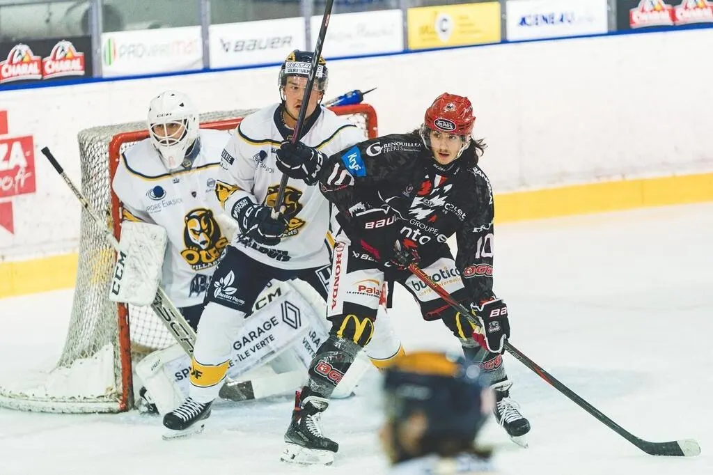 Hockey sur glace. D1 : mission accomplie pour les Dogs de Cholet à ...