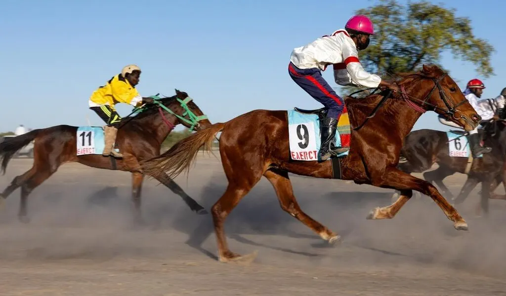 EN IMAGES. « Comme gagner la Ligue des champions », les courses ...