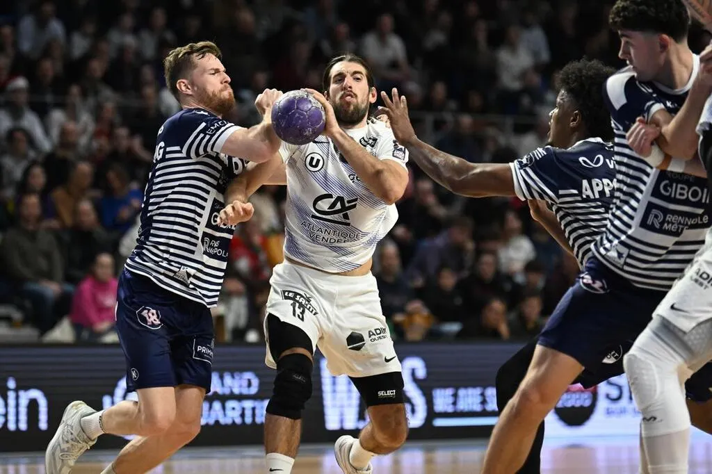 Handball. Starligue : Cesson Rennes va enfin pouvoir panser ses plaies ...