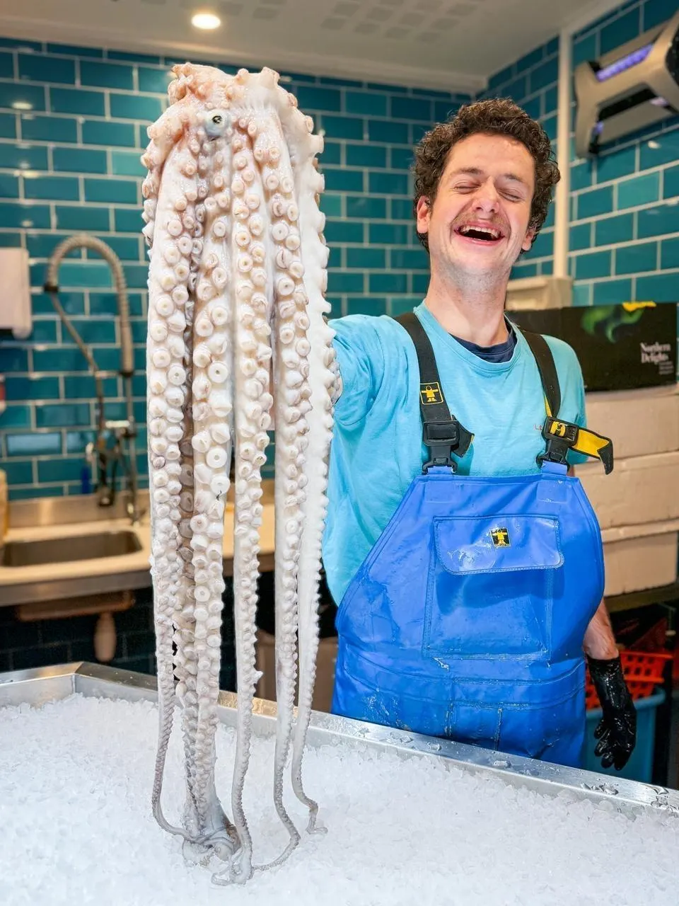 Un poulpe de près de 10 kg pêché dans les Côtes-d’Armor et vendu à ...