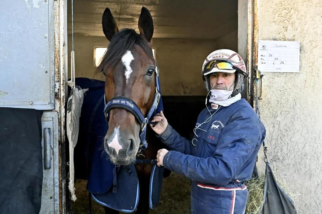 Prix d’Amérique. Le champion des Bazire, Jushua Tree, pourrait ...