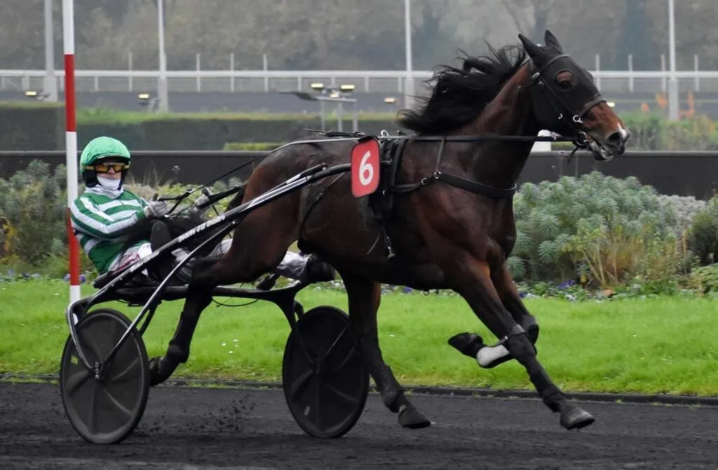 Prix d’Amérique : Jushua Tree, le cheval de Jean-Michel Bazire, de ...