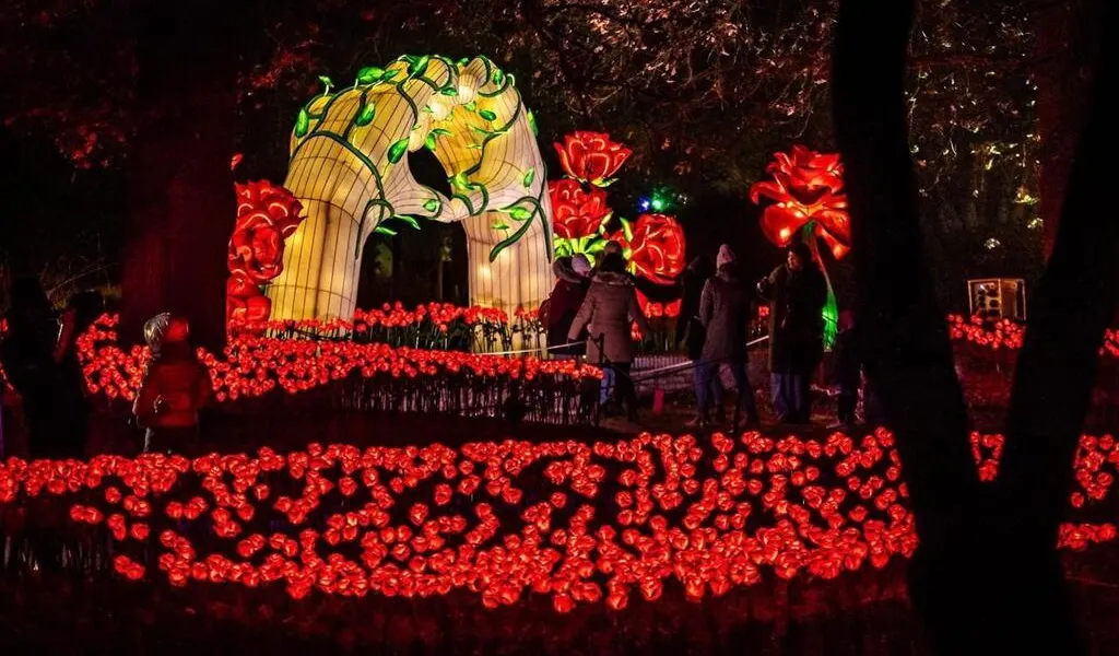 Une « expérience lumineuse » à vivre au parc du Thabor de Rennes à ...