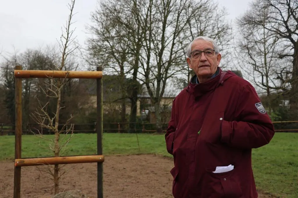 « Sans transplantation, je ne serais plus là » : greffé du cœur, il ...