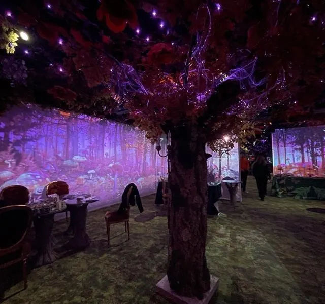 EN IMAGES. Découvrez en avant-première ce restaurant unique qui ouvre à ...