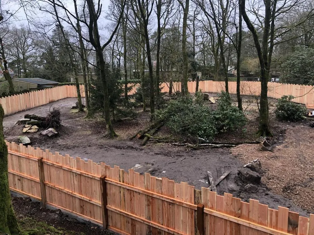 Cinq lions, deux serpents et une panthère… Le zoo de Jurques rouvre ...