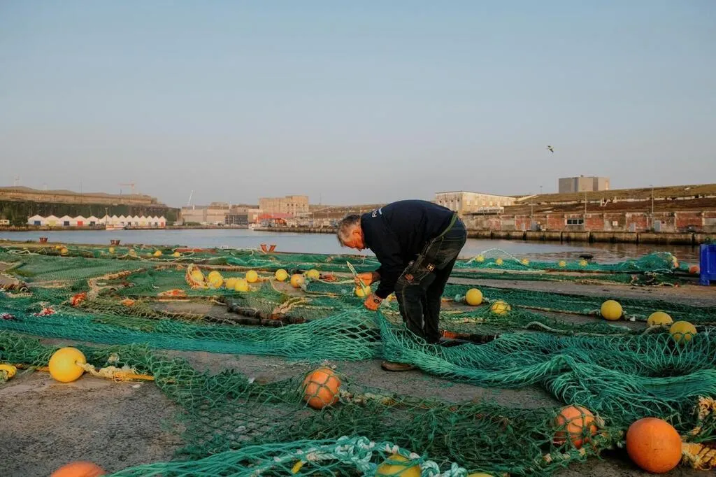 EN IMAGES. Dans les entrailles de Keroman, le port de pêche de Lorient ...