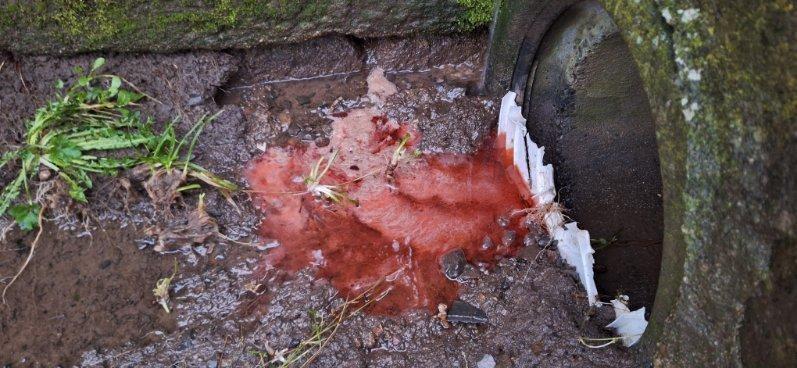 « Il y avait une grosse mare rouge dans le fossé » : une pollution aux ... « Il y avait une grosse mare rouge dans le fossé » : une pollution aux ...