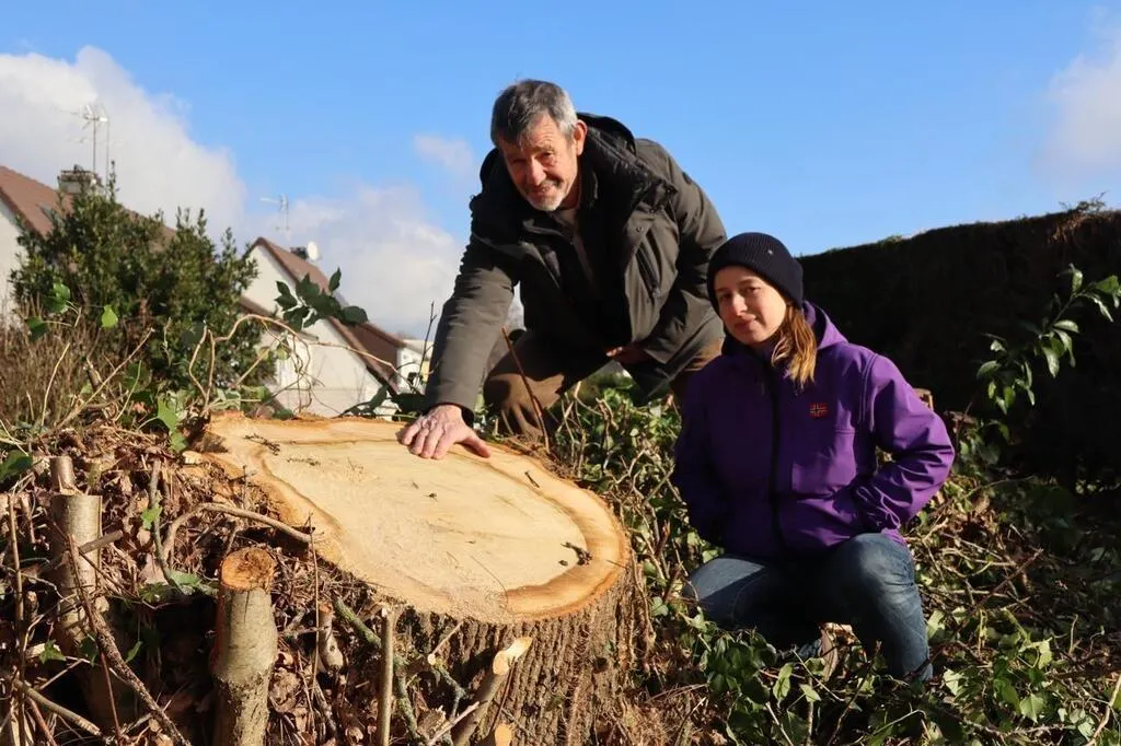 « L’apport d’un vieux chêne est énorme » : Alternatiba Saint-Lô appelle ...