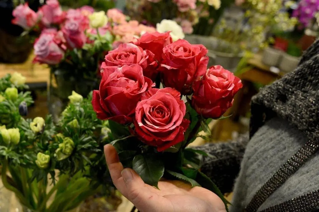 Roses, tulipes, anémones… Quelles fleurs offrir pour la Saint-Valentin ...