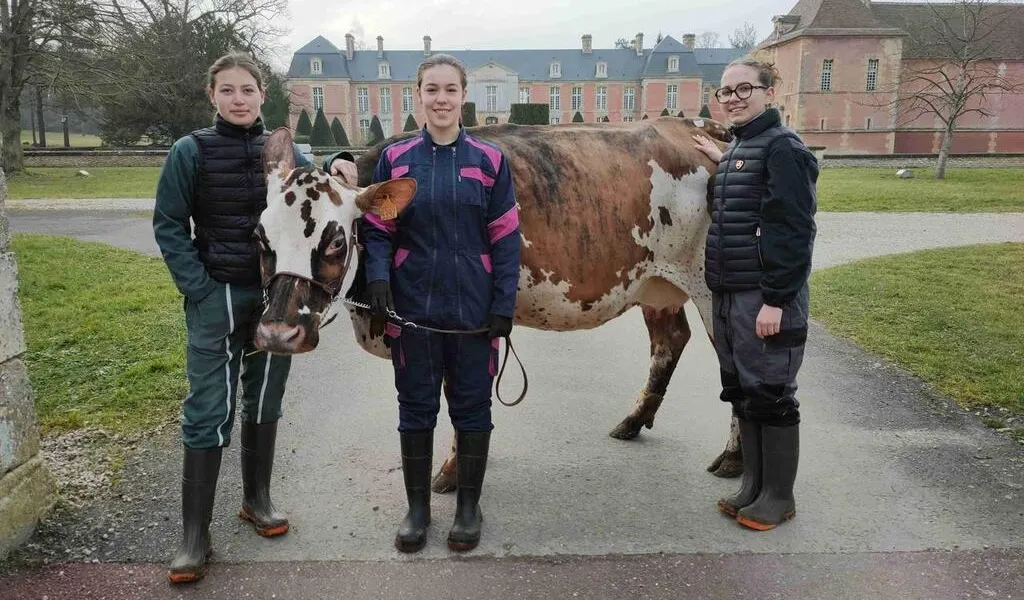 Des étudiants du Robillard en lice pour un trophée au Salon de l ...