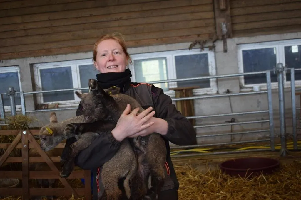 Après s’être fait voler 40 bêtes, cette éleveuse d’Anjou concourt au ...