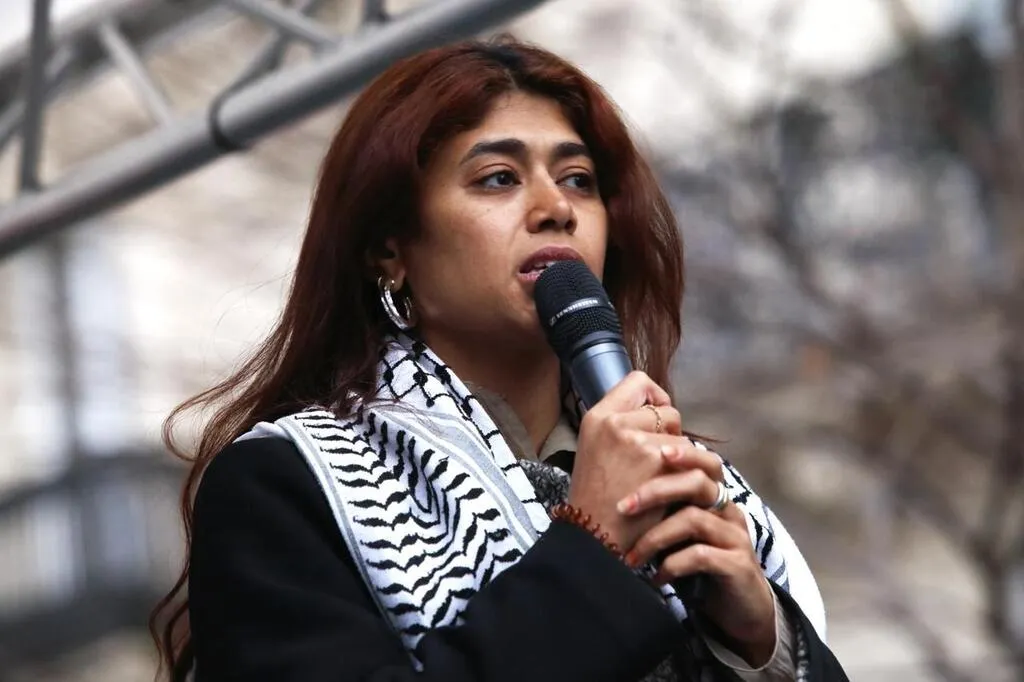 Rima Hassan estime que « le Hamas a une action légitime », David ...