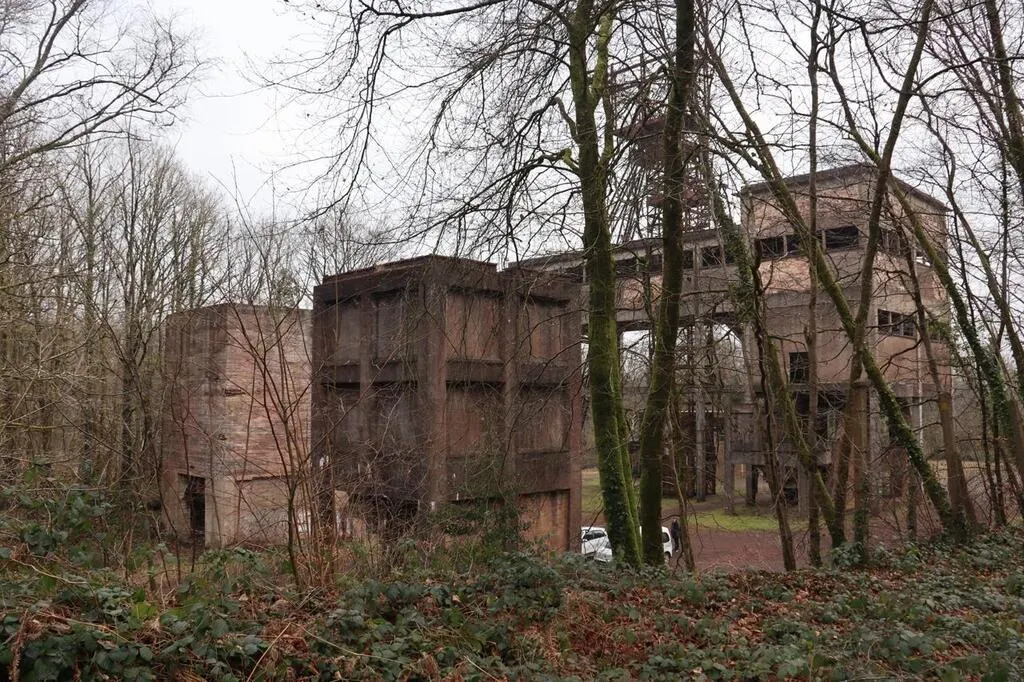 « Consolider la biodiversité » : des arbres vont être coupés et ...