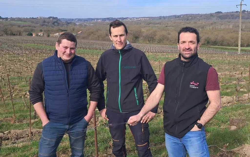 « La fraîcheur et l’élégance des vins »: ces vignerons d’Anjou brillent ...