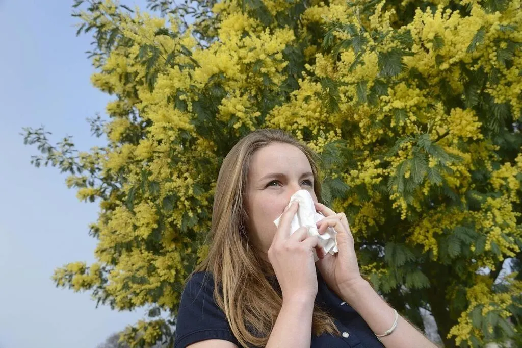Allergies : l’indice pollen est élevé dans les deux tiers de la France ...