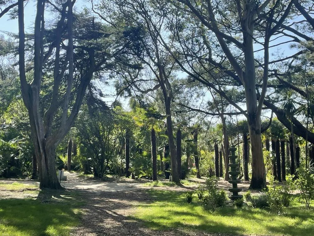 « On se croirait dans le sud » : balade dans le jardin botanique de ...