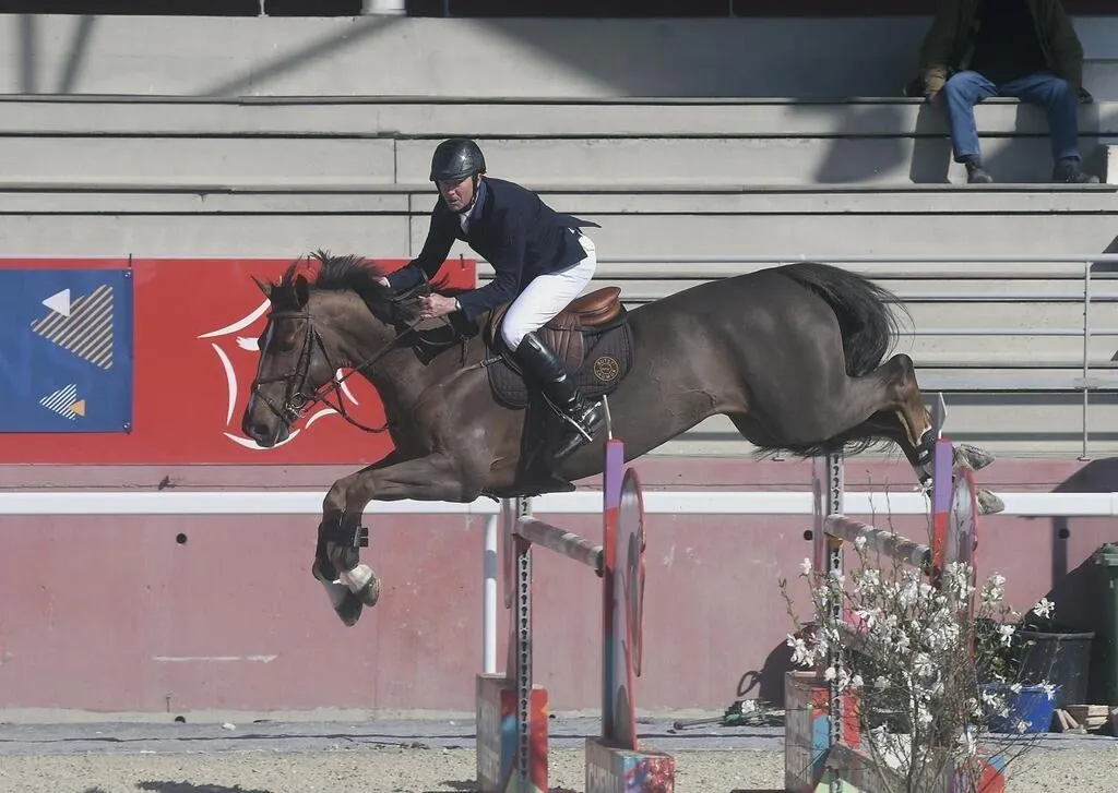 Équitation. Patrice Delaveau repart conquérant de Saint-Lô avec deux ...