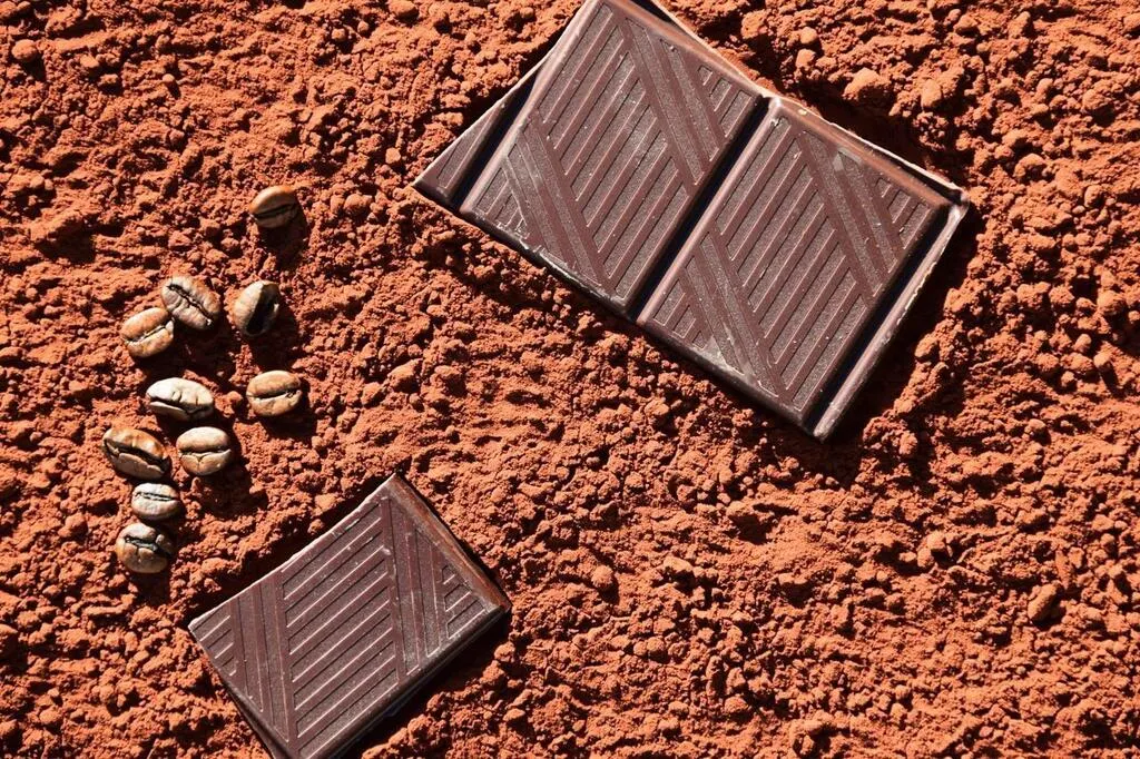 Qu’est-ce que le ChoViva, cette alternative écolo au chocolat qui est ...