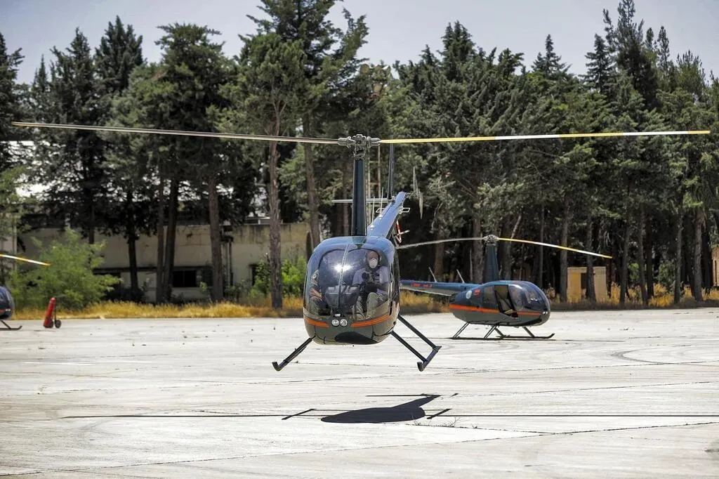 « Le pilote a perdu le contrôle » : un manchot provoque le crash d’un ...