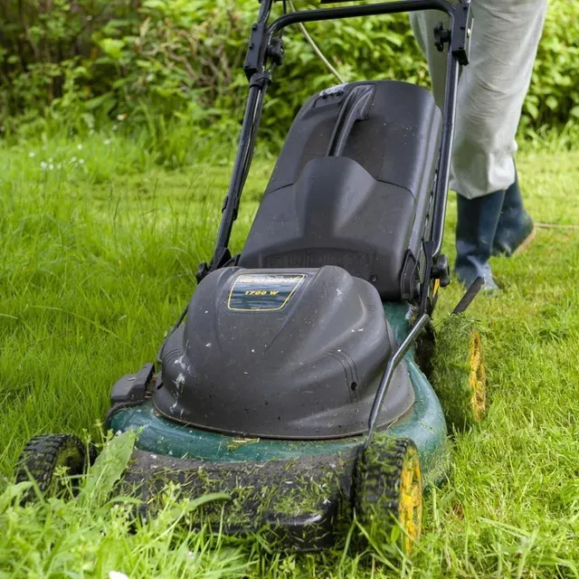 Quand tondre sa pelouse, à quelle hauteur ? Nos conseils pour avoir un ...