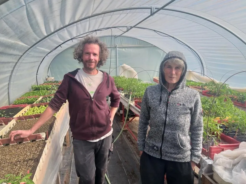 Tomates, courgettes, poivrons : cette ferme va vendre un millier de ...