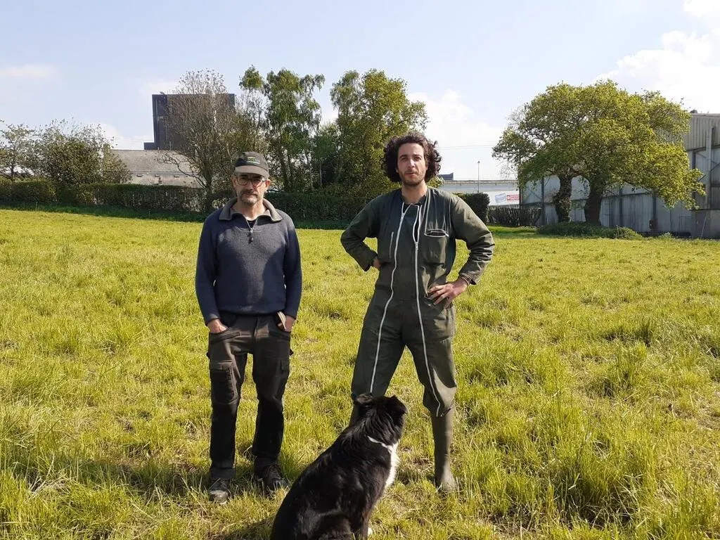 « Nous avons besoin de pâturages pour nos vaches » : le cri d’alerte de ...