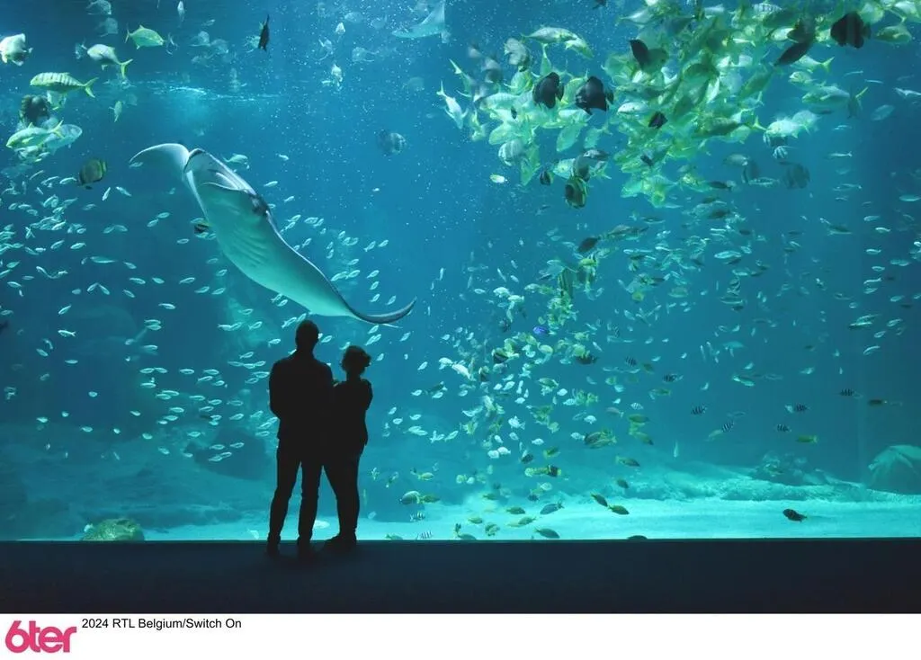 Les coulisses de Nausicaà, plus grand aquarium européen, à découvrir ce ...