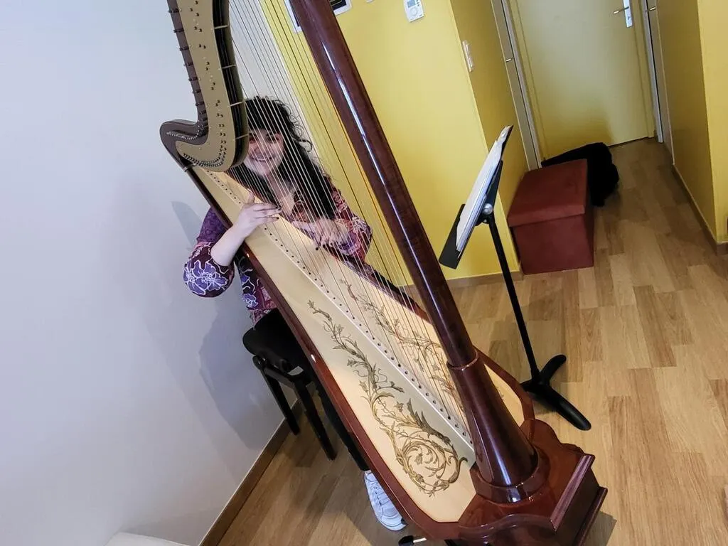 À Vire, la harpiste Laura Marchese donne des cours à son domicile ...