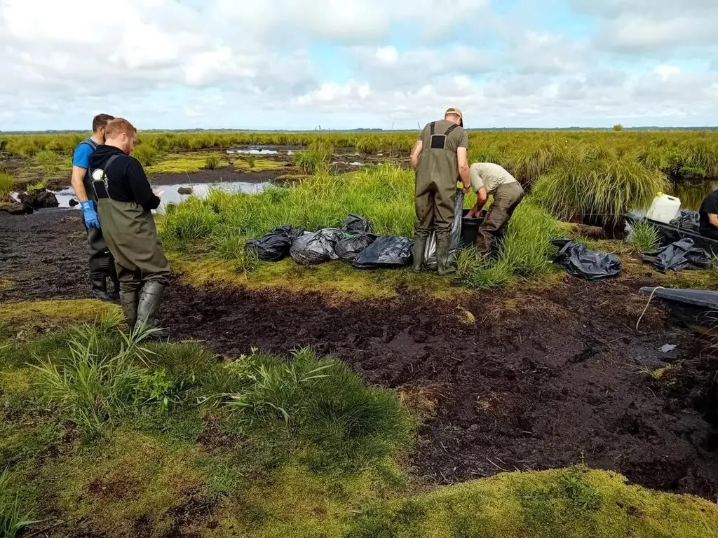 Veille, collectes d’oiseaux morts… Comment la Brière fait face à la ...