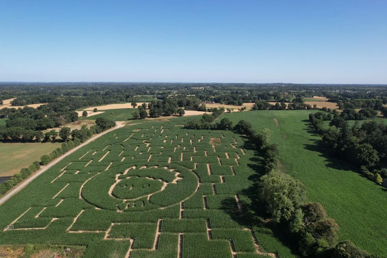 À Combourg, le labyrinthe de maïs sur 8 ha ravit grands et petits ...