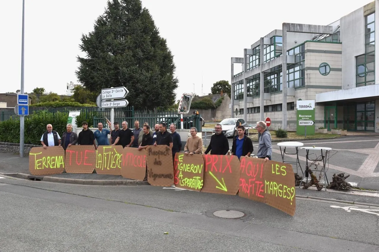 Entre les vignerons d’Anjou et leur coopérative Terrena, la relation ...