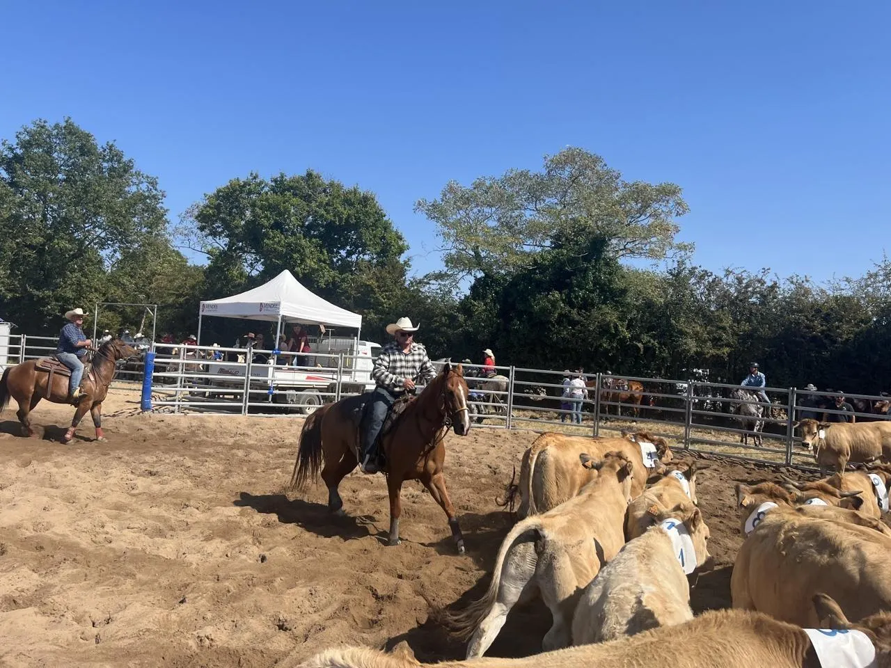 À Coëx, un week-end de compétitions à la cow-boy - Les Sables d'Olonne.maville.com