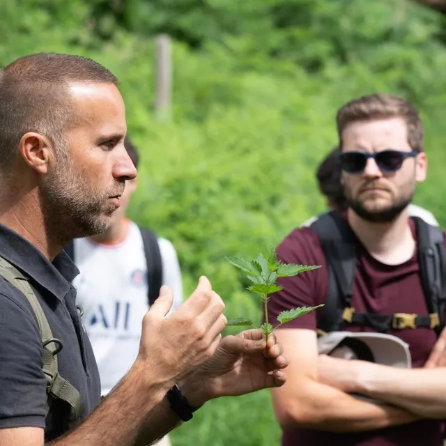 REPORTAGE. Ils font un stage de survie pour se reconnecter à la nature ...
