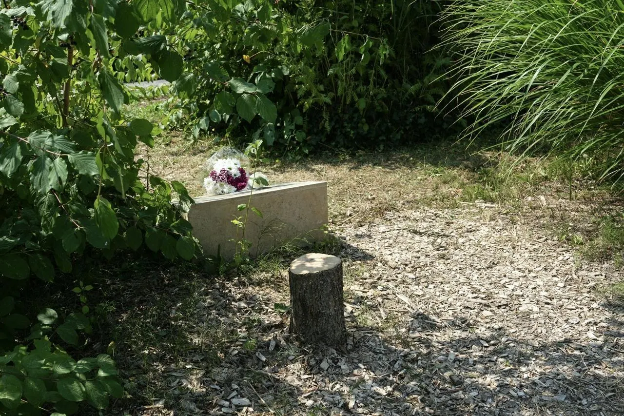 Arbre en hommage à Ilan Halimi abattu : une enquête ouverte - Les ...