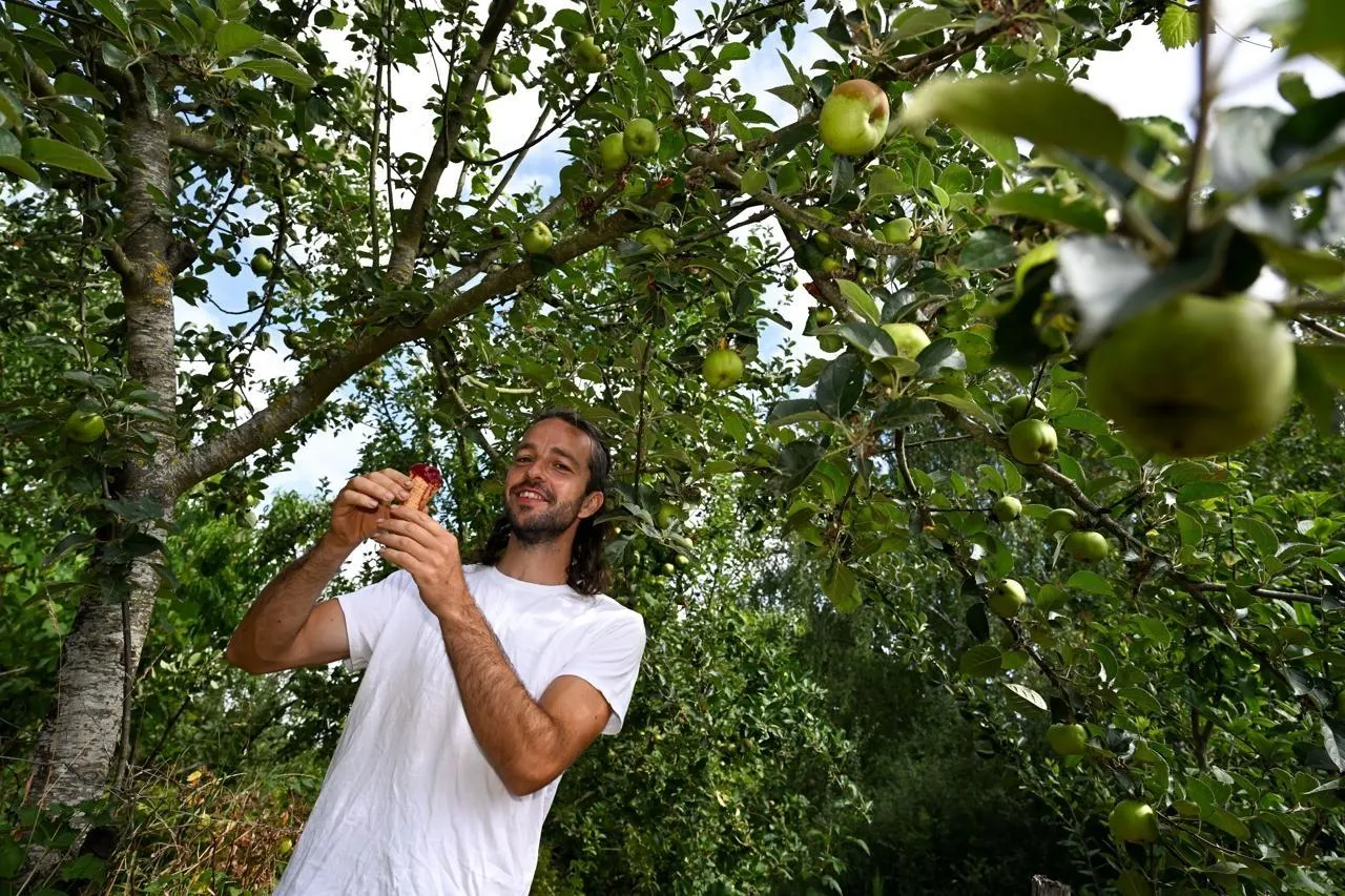 Mieux manger, mieux vivre. Comment faire des sorbets maison avec les ...