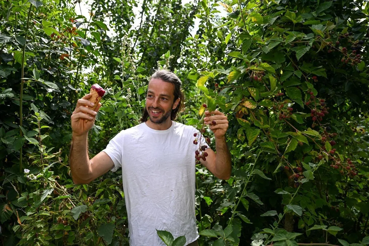 Mieux manger, mieux vivre. Comment faire des sorbets maison avec les ...