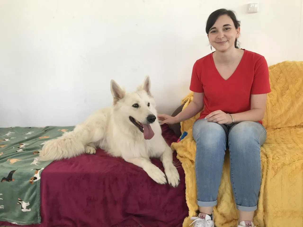 Glaces, donut’s, temps de sieste... Dans cette crèche pour chiens, on ...