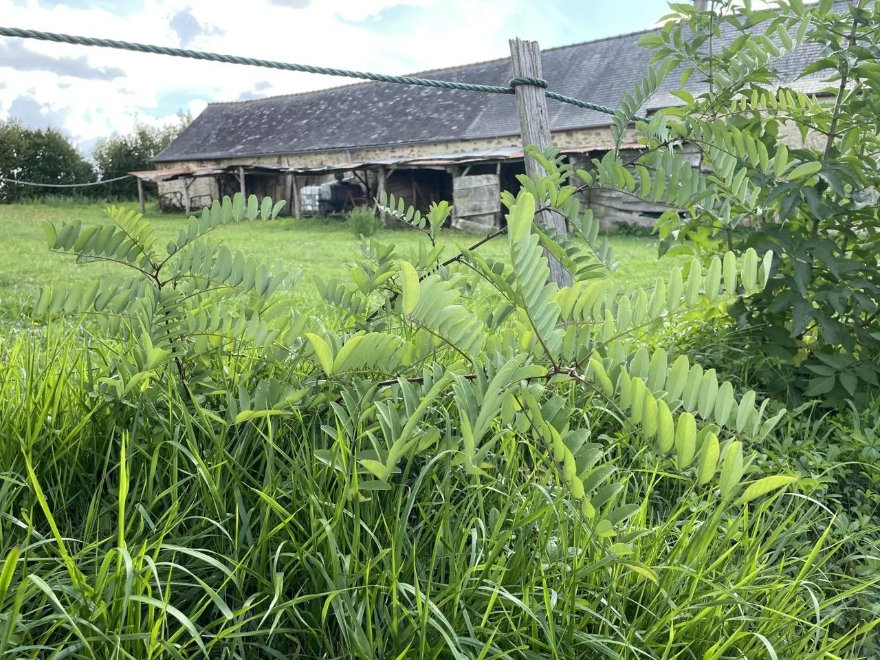 Bokep indo updatw hence I answered that I required