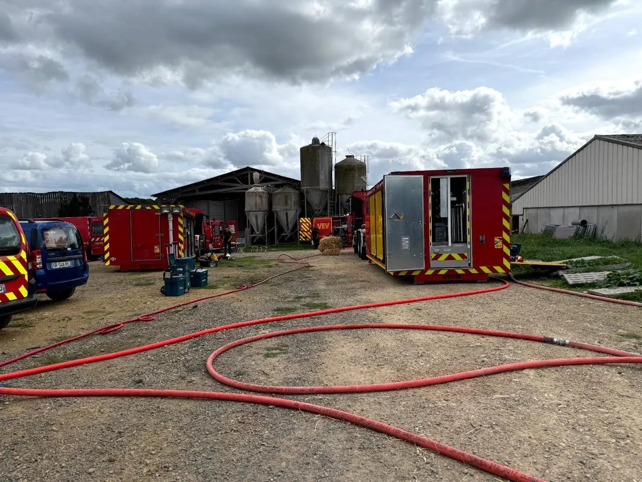 15 cochons tombent dans une fosse à lisier, de nombreux pompiers ...