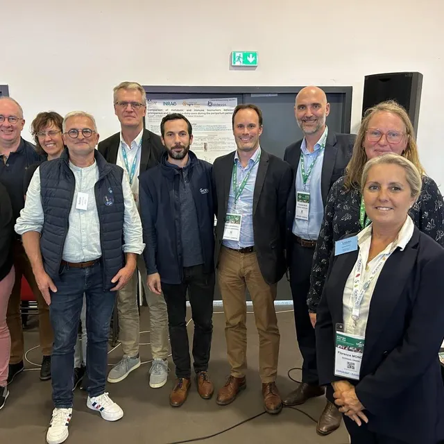 Mammite des vaches laitières : testée dans des fermes, une solution ...