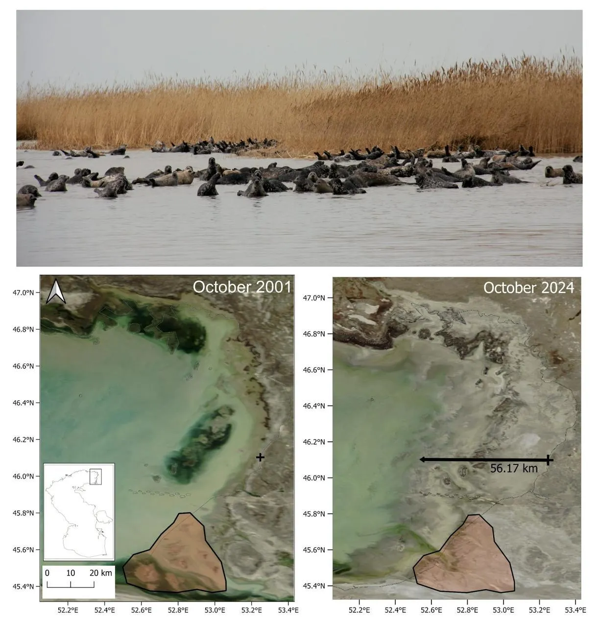 La plus grande mer intérieure du monde connaît un déclin spectaculaire ...