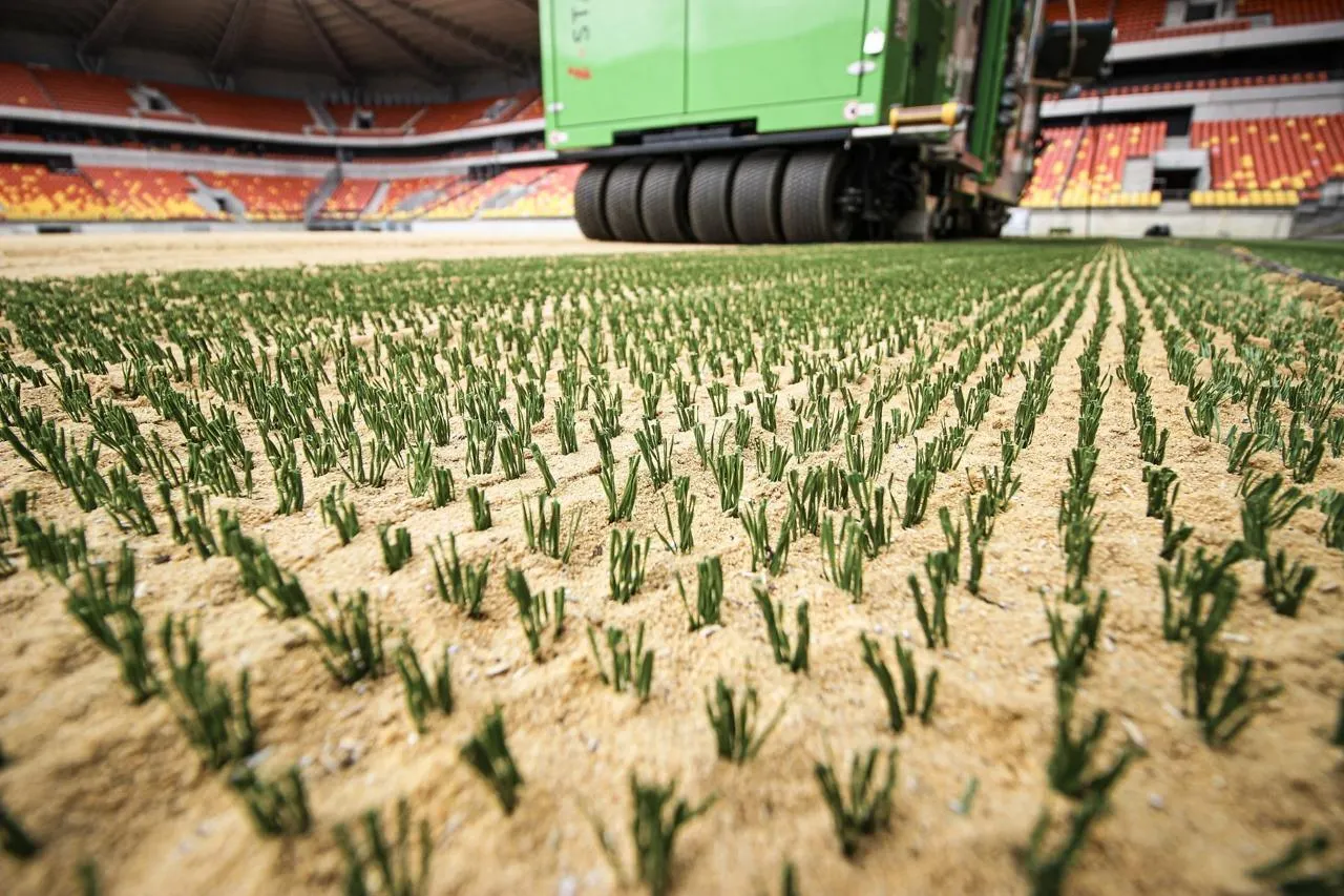 Le Mans FC. Découvrez la nouvelle pelouse à la pointe du stade Marie ...