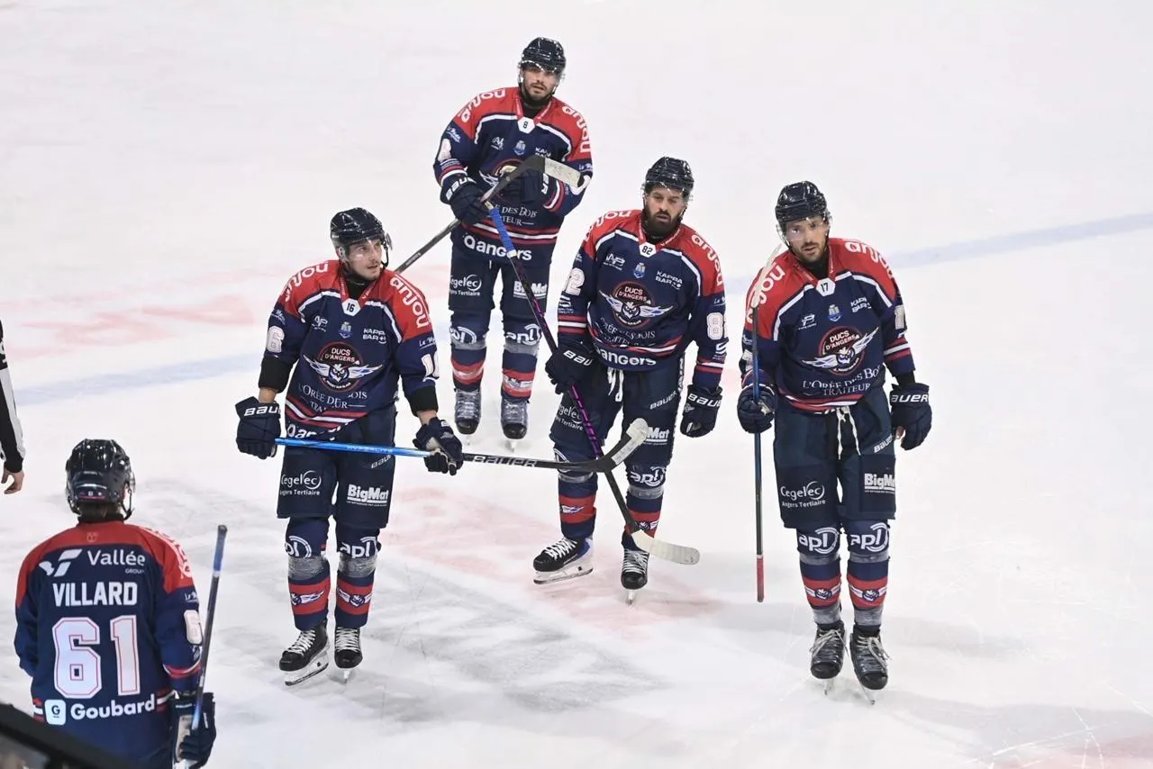 Hockey sur glace. « Les Ducs d’Angers ont besoin de jouer dans la ...