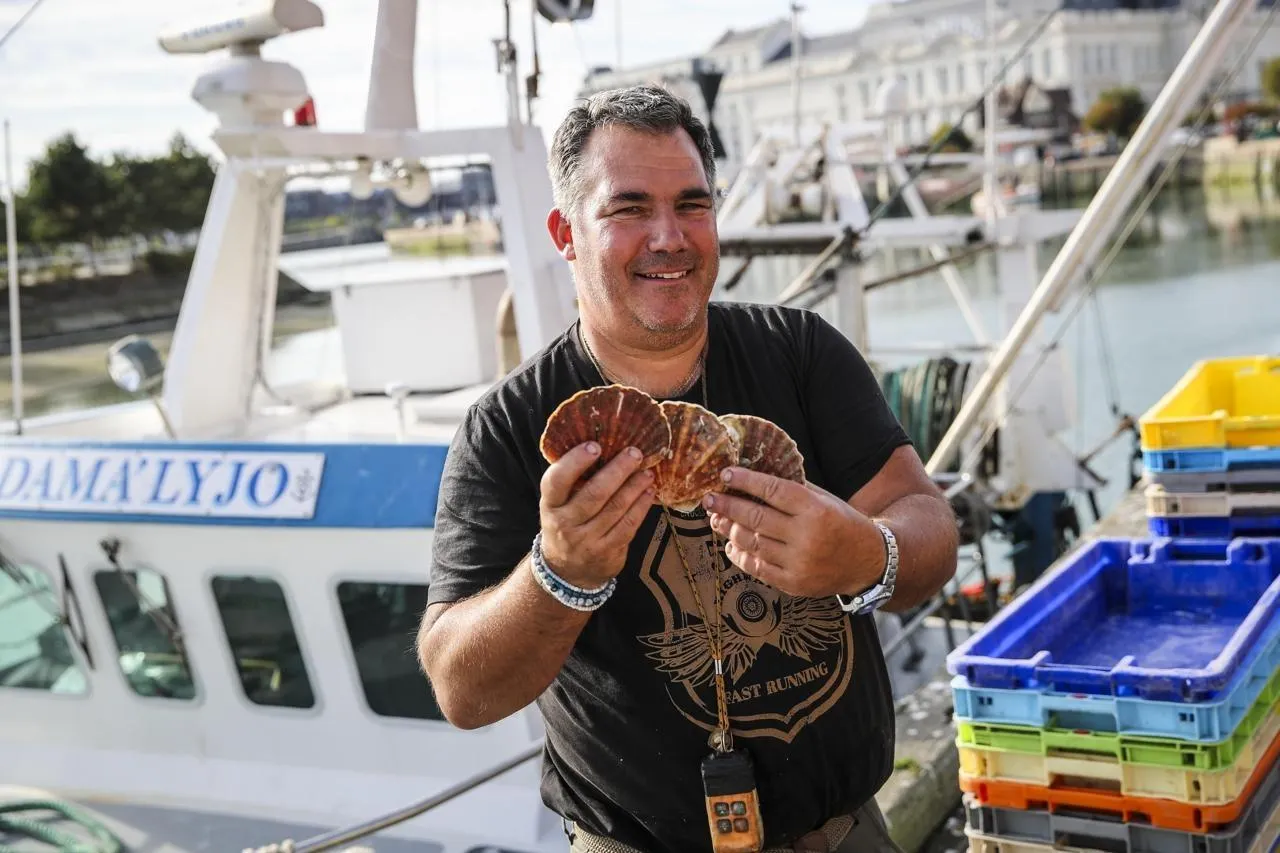 EN IMAGES. « Ça nous manquait ! » : les premières coquilles Saint ...